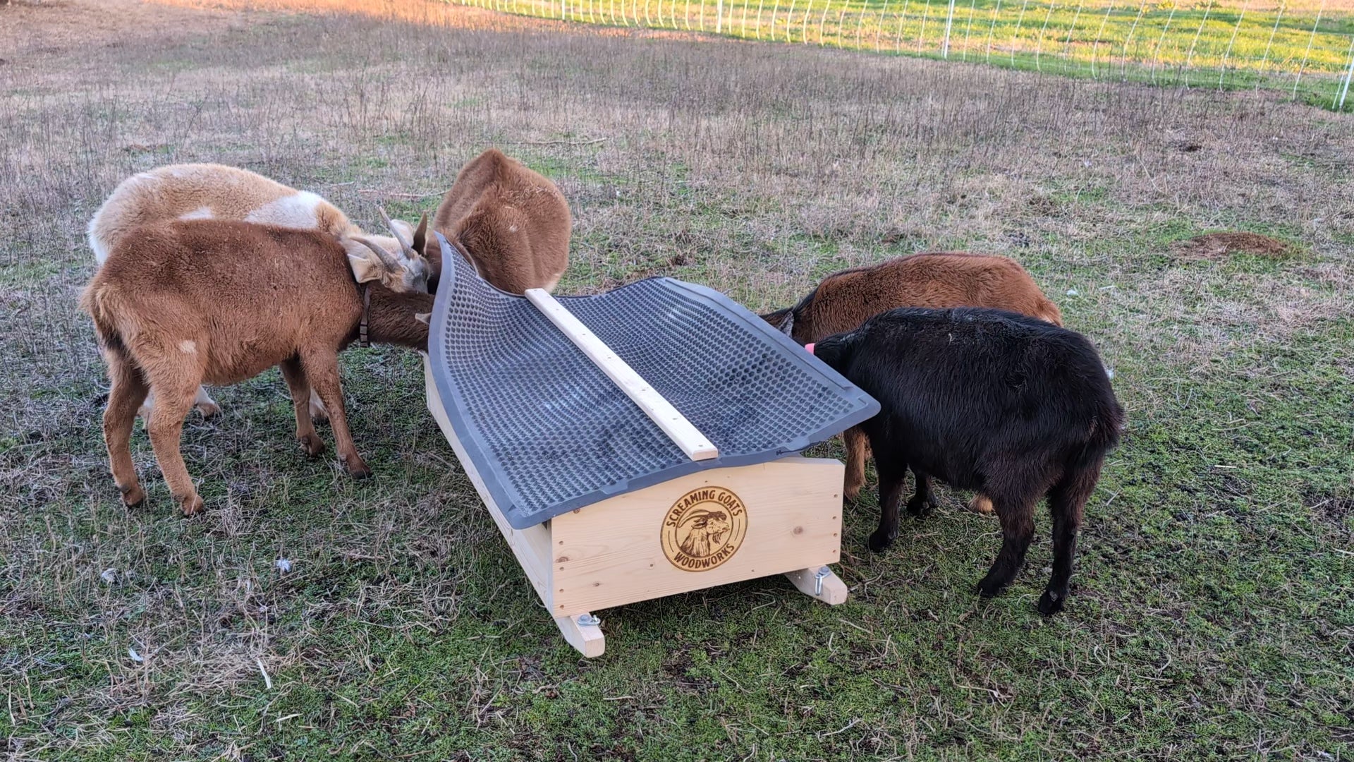 Goat & Sheep Mineral Cart – 22 Compartment System for Healthier Herds ...